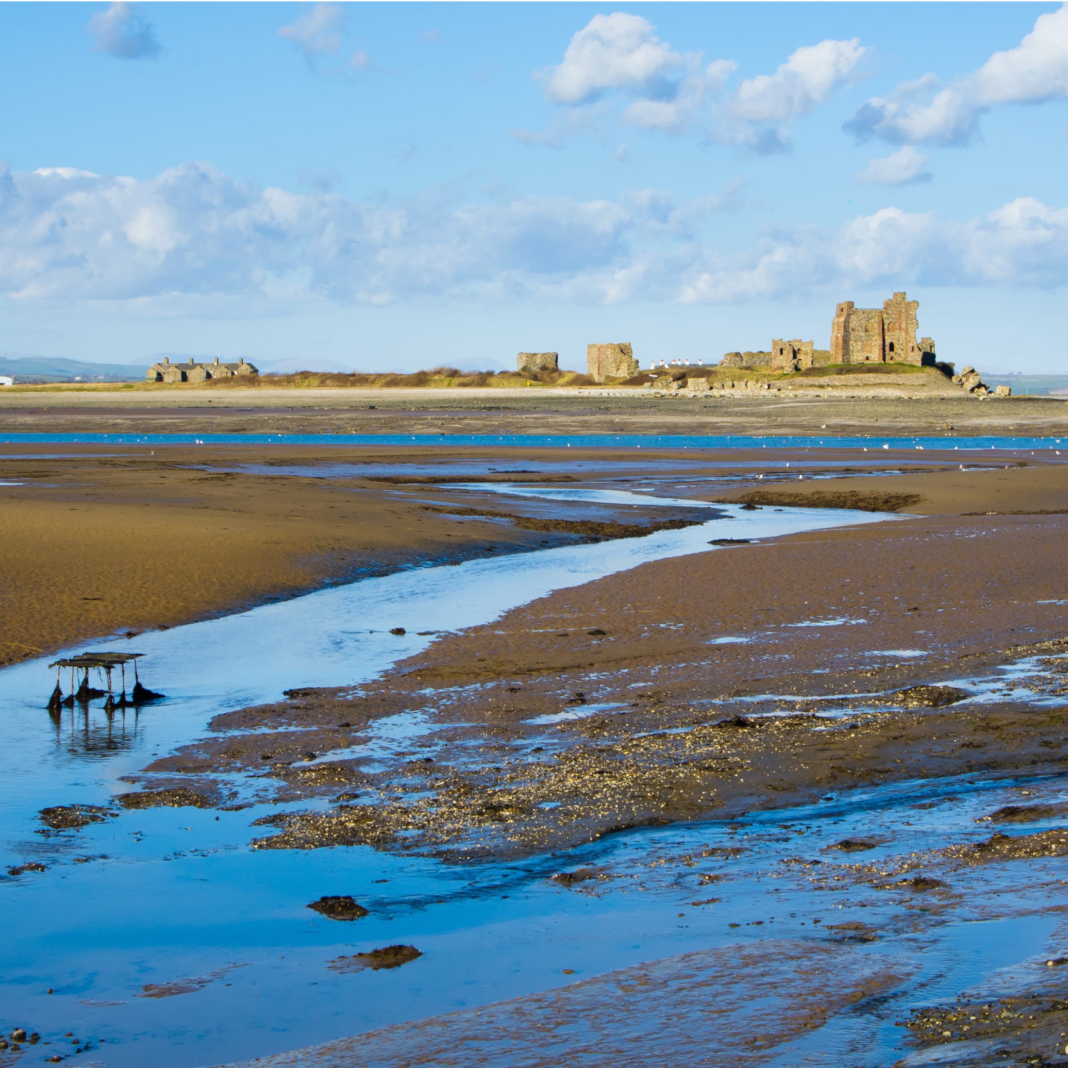 Walney Island Nature Reserve